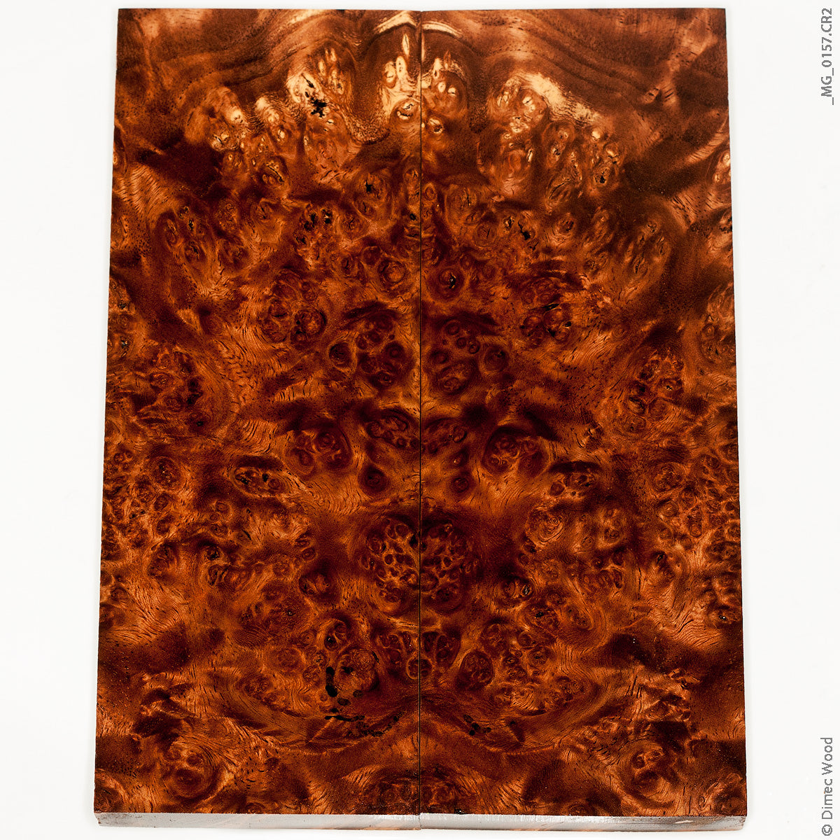 Stabilized golden amboyna burl wood panels – Dimec wood