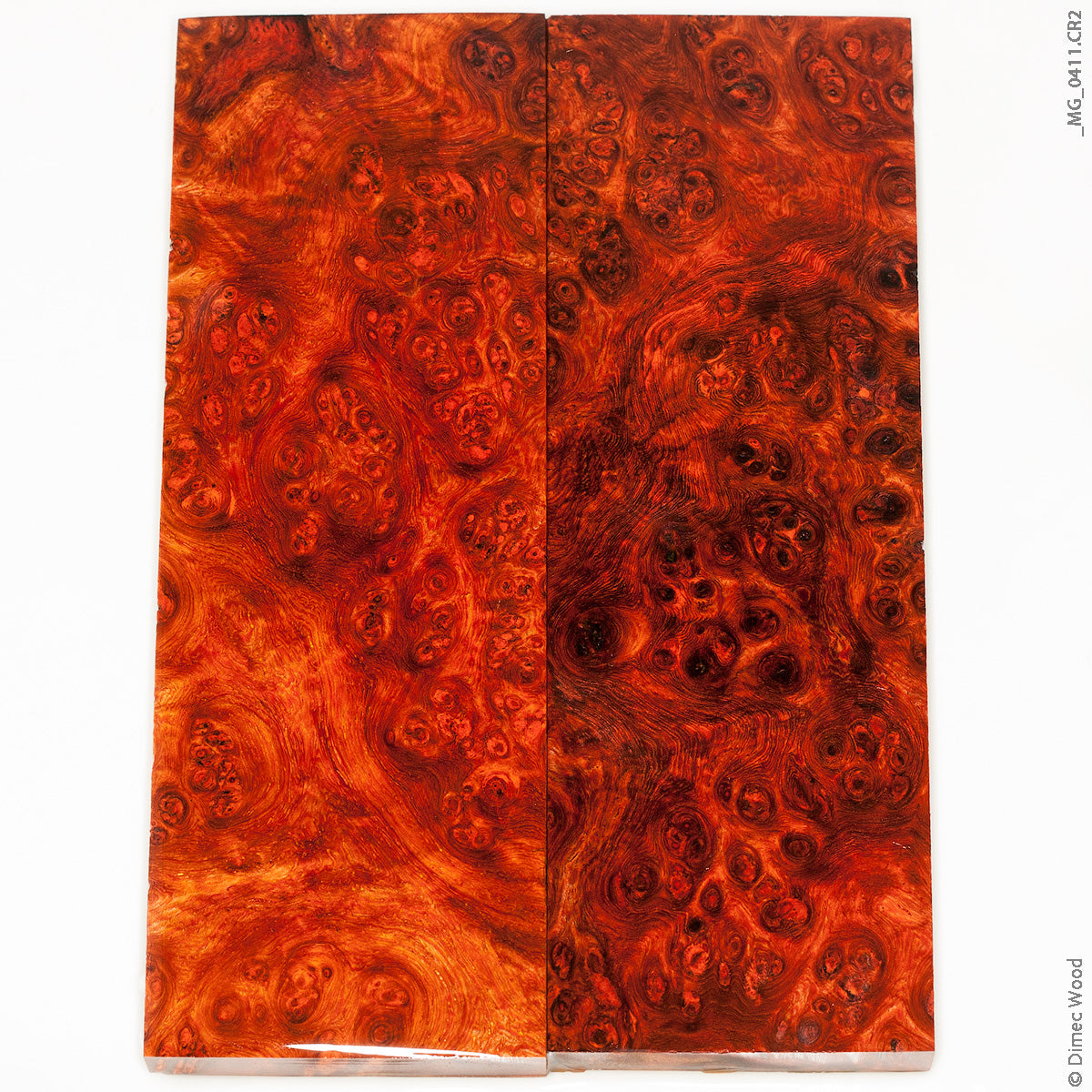 Stabilized red amboyna burl wood panels – Dimec wood