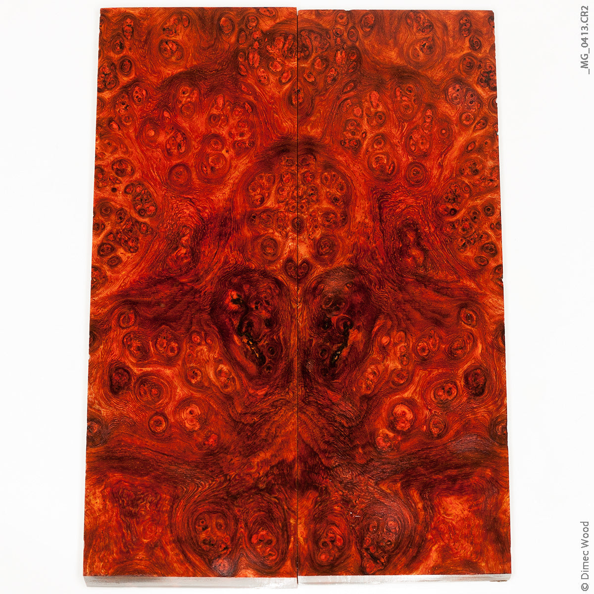 Stabilized red amboyna burl wood panels – Dimec wood