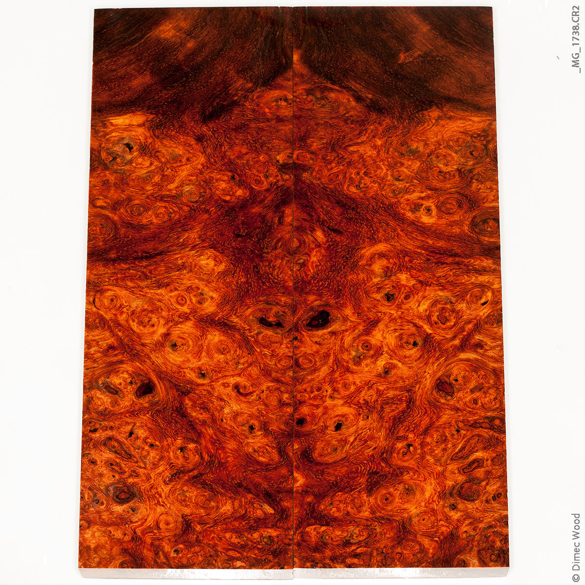 Stabilized red amboyna burl wood panels – Dimec wood