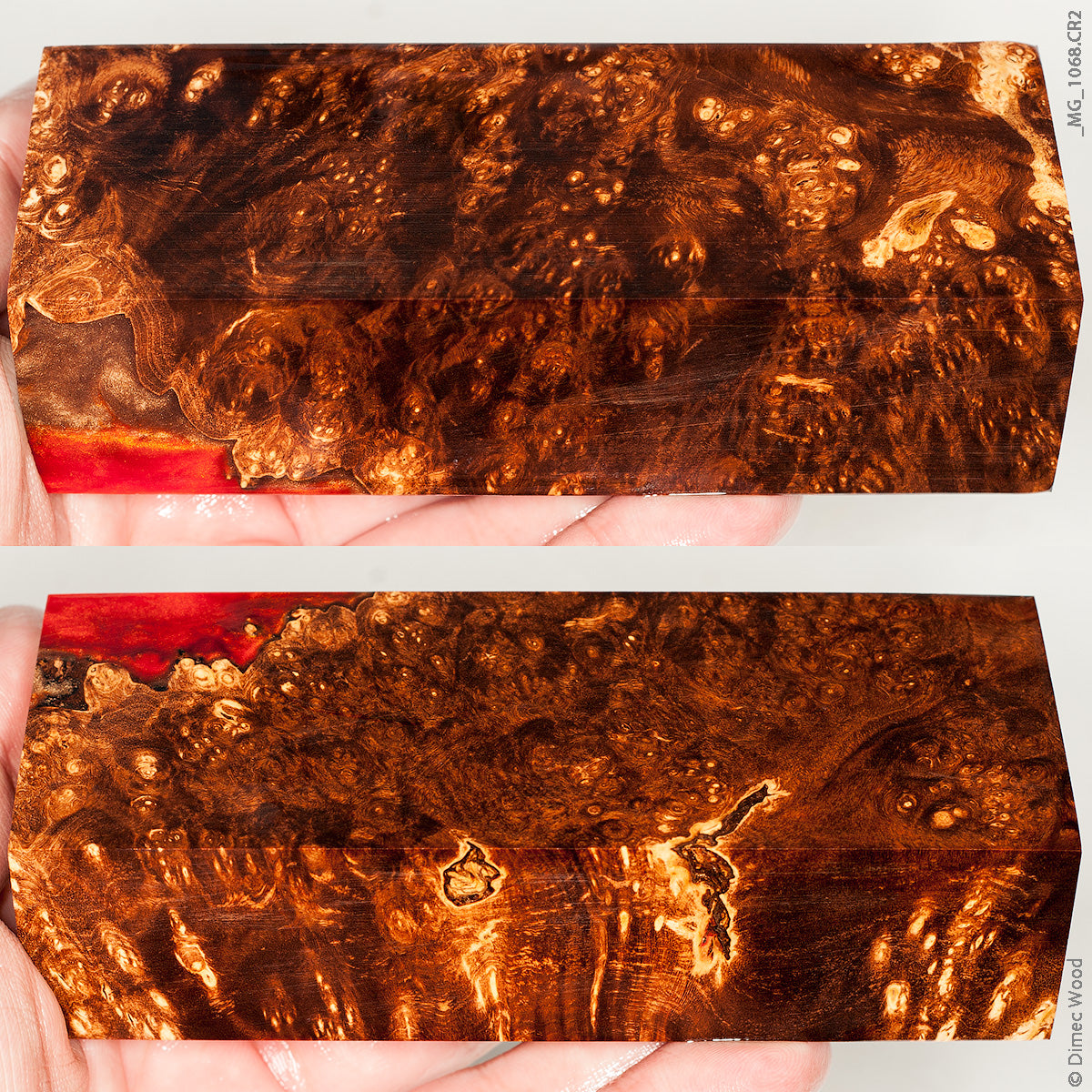 Stabilized wood box elder burl block – Dimec wood