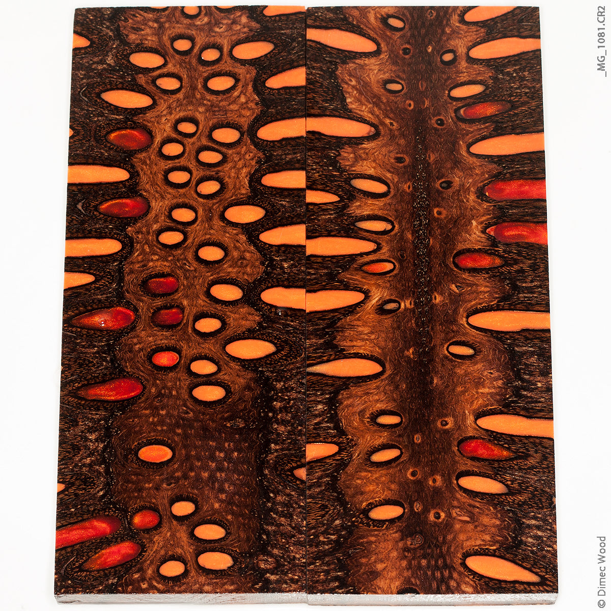 Stabilized wood banksia pod hybrid panels – Dimec wood