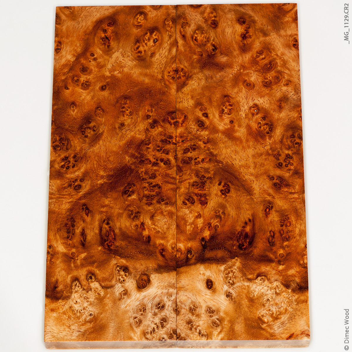 Stabilized golden amboyna burl wood panels – Dimec wood