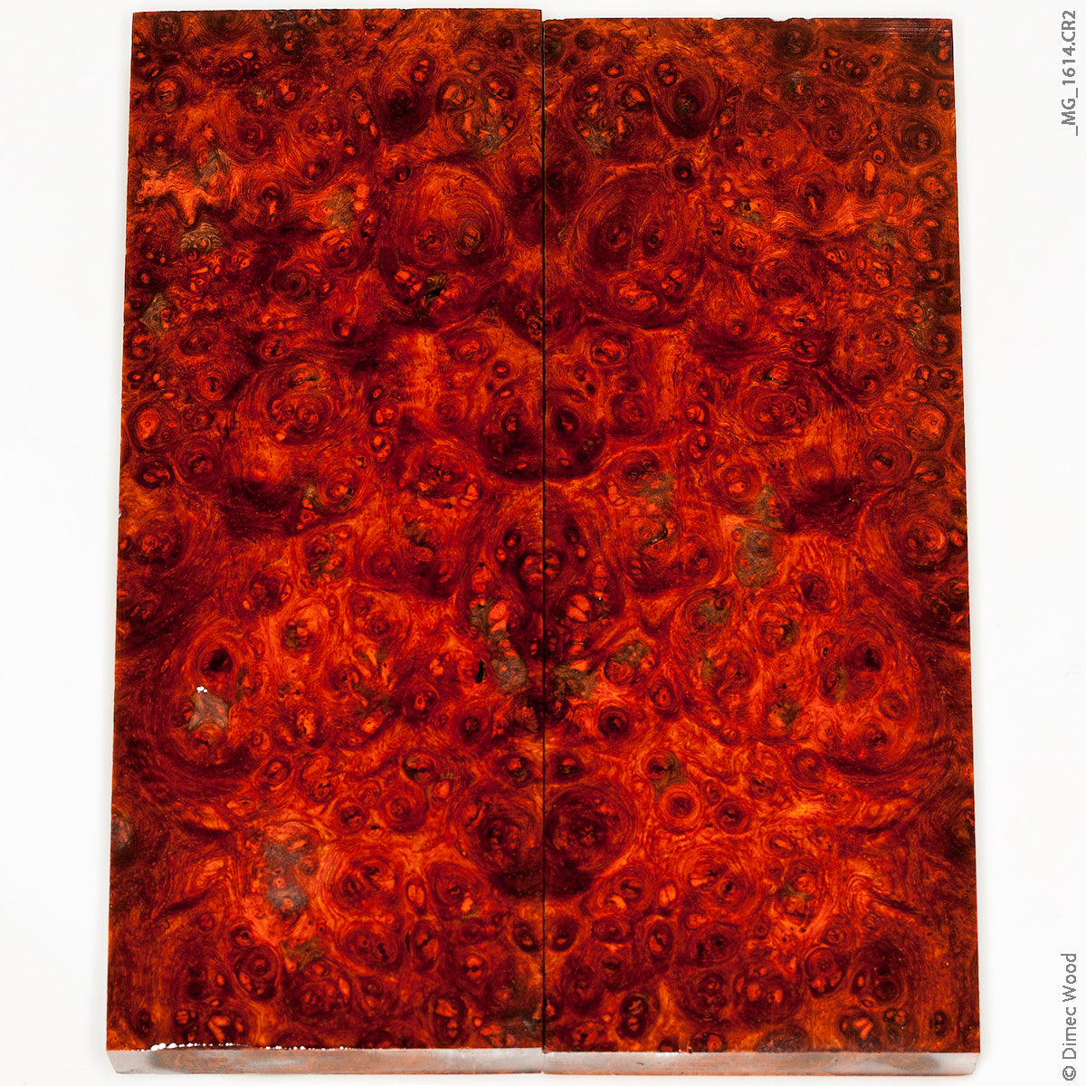 Stabilized red amboyna burl wood panels – Dimec wood