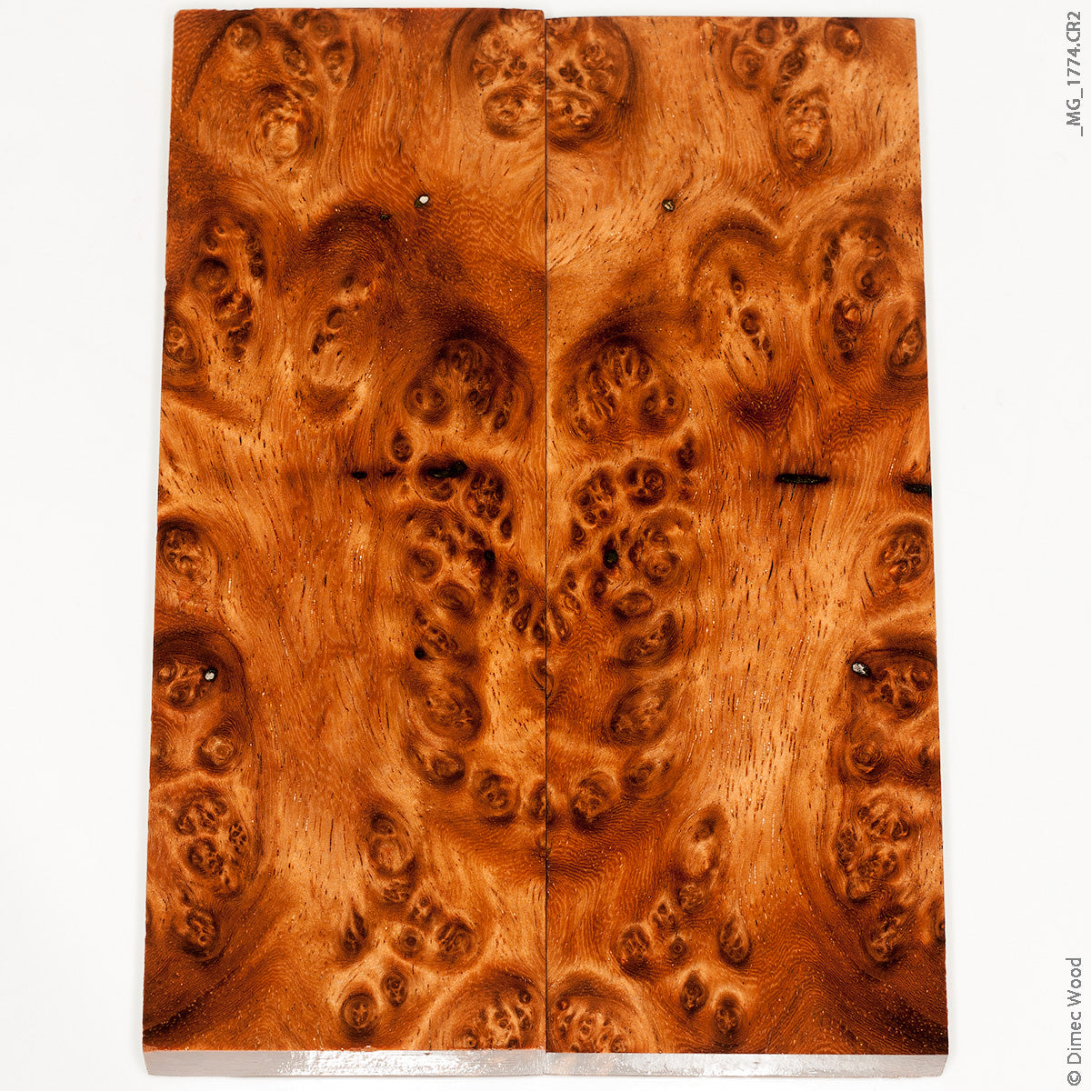 Stabilized golden amboyna burl wood panels – Dimec wood