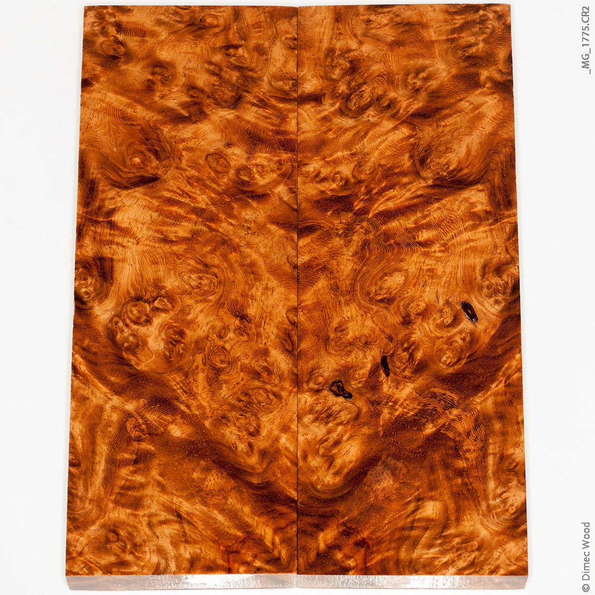 Stabilized golden amboyna burl wood panels – Dimec wood
