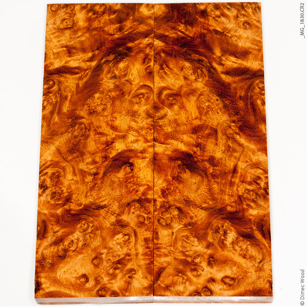 Stabilized golden amboyna burl wood panels – Dimec wood