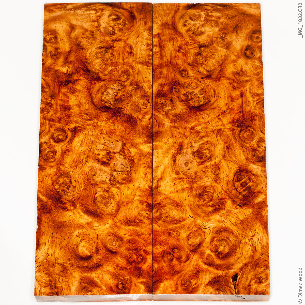 Stabilized golden amboyna burl wood panels – Dimec wood