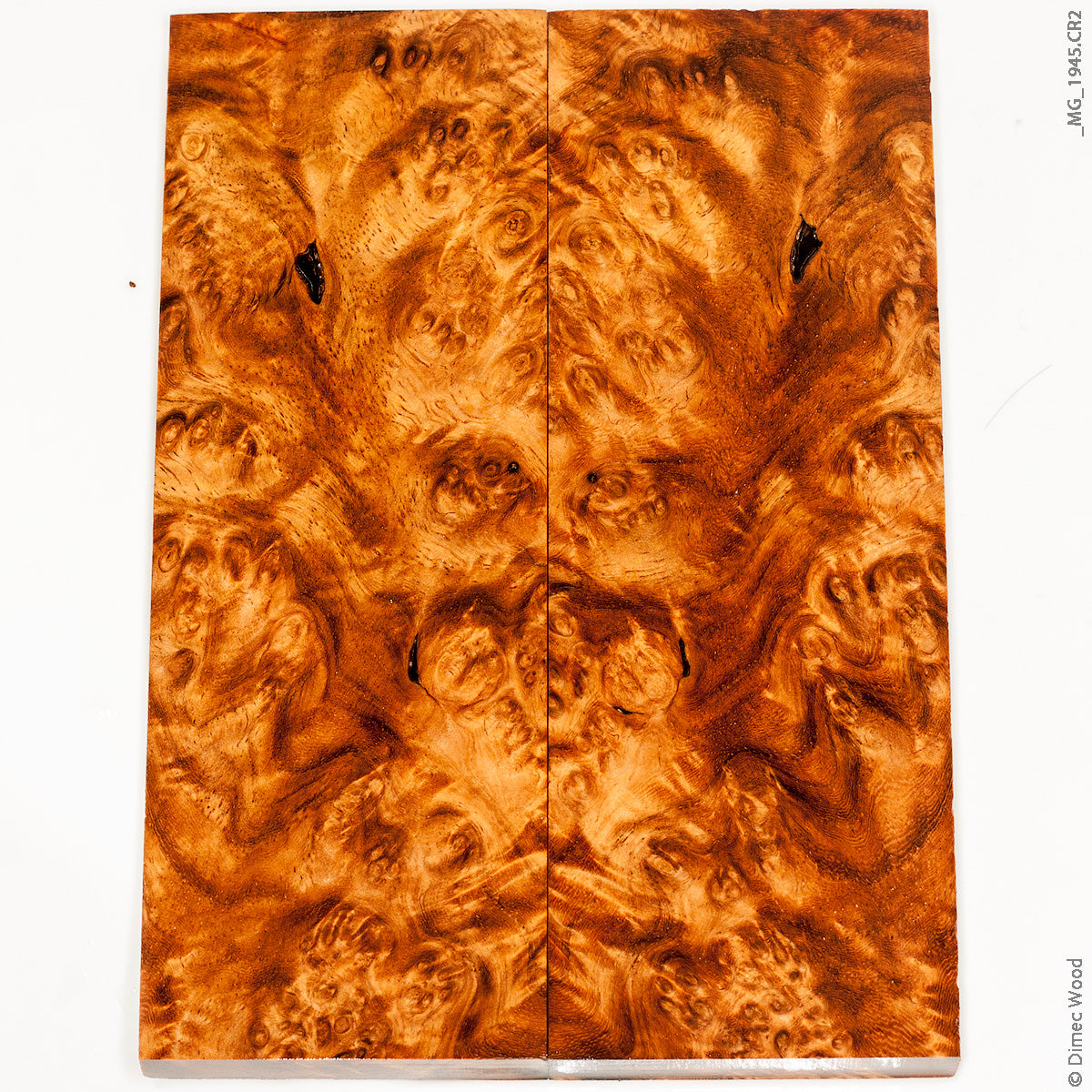 Stabilized golden amboyna burl wood panels – Dimec wood