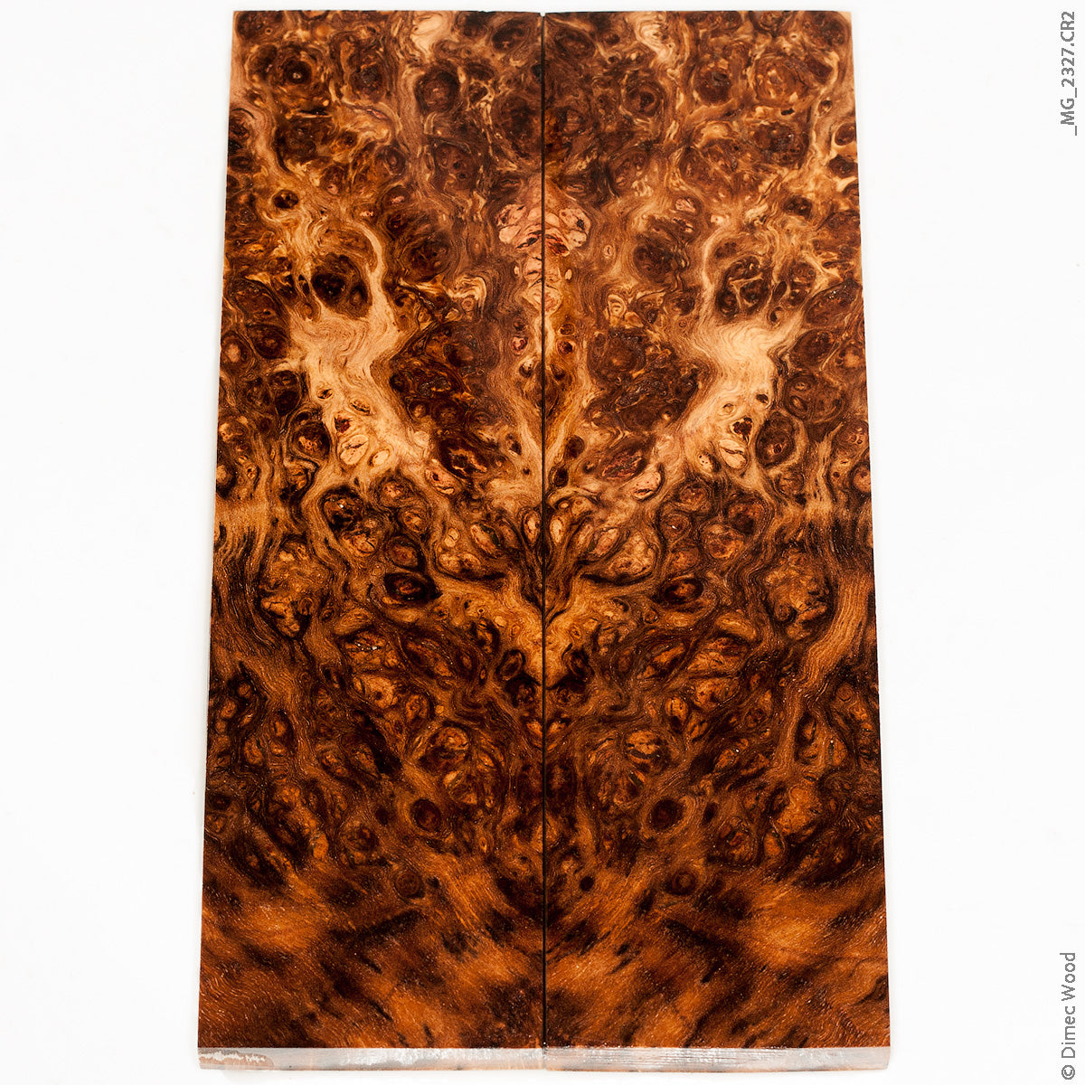 Stabilized wood oak burl panels – Dimec wood
