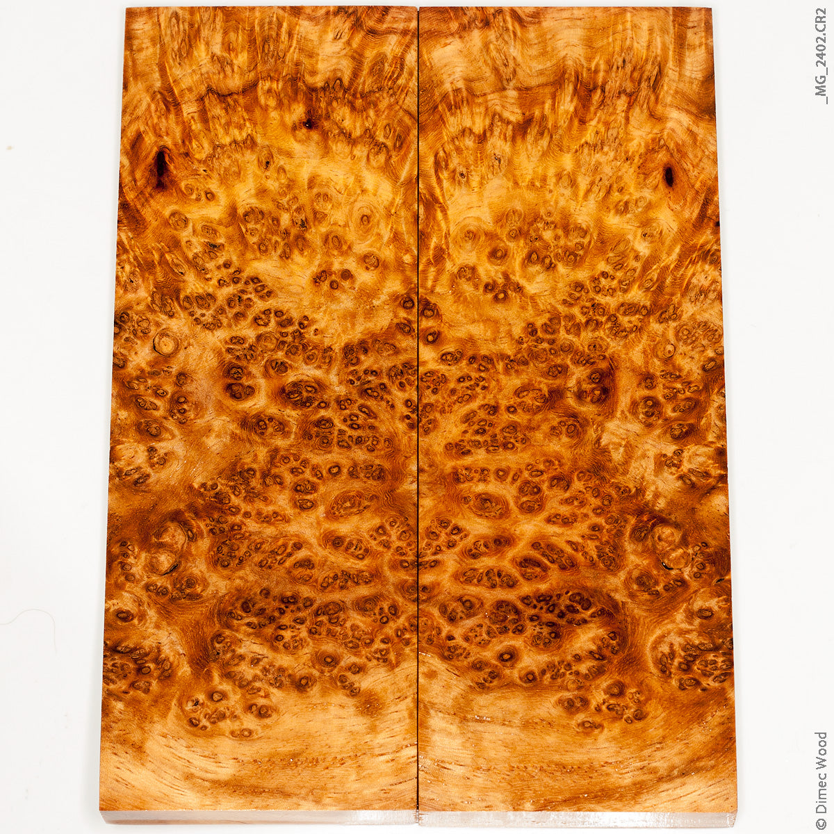 Stabilized golden amboyna burl wood panels – Dimec wood