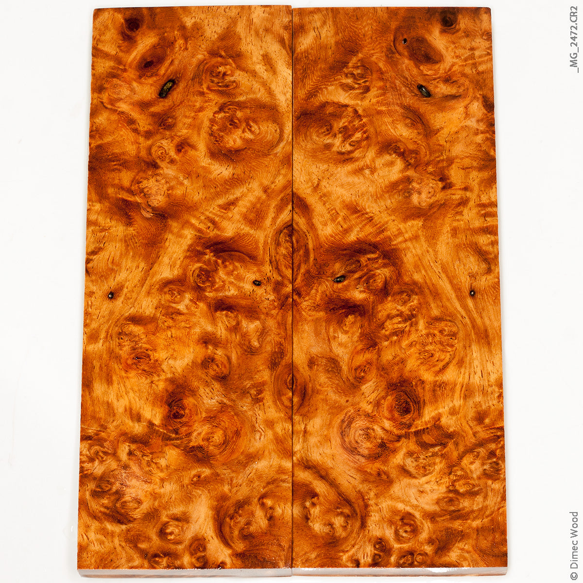 Stabilized golden amboyna burl wood panels – Dimec wood
