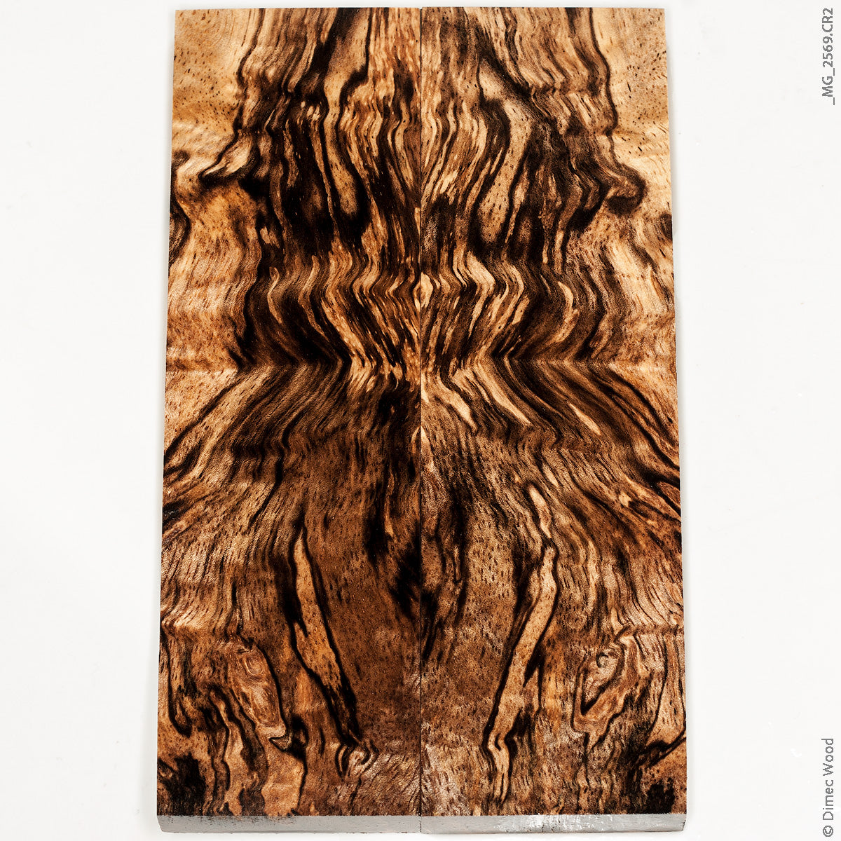 Stabilized spalted mango wood panels – Dimec wood