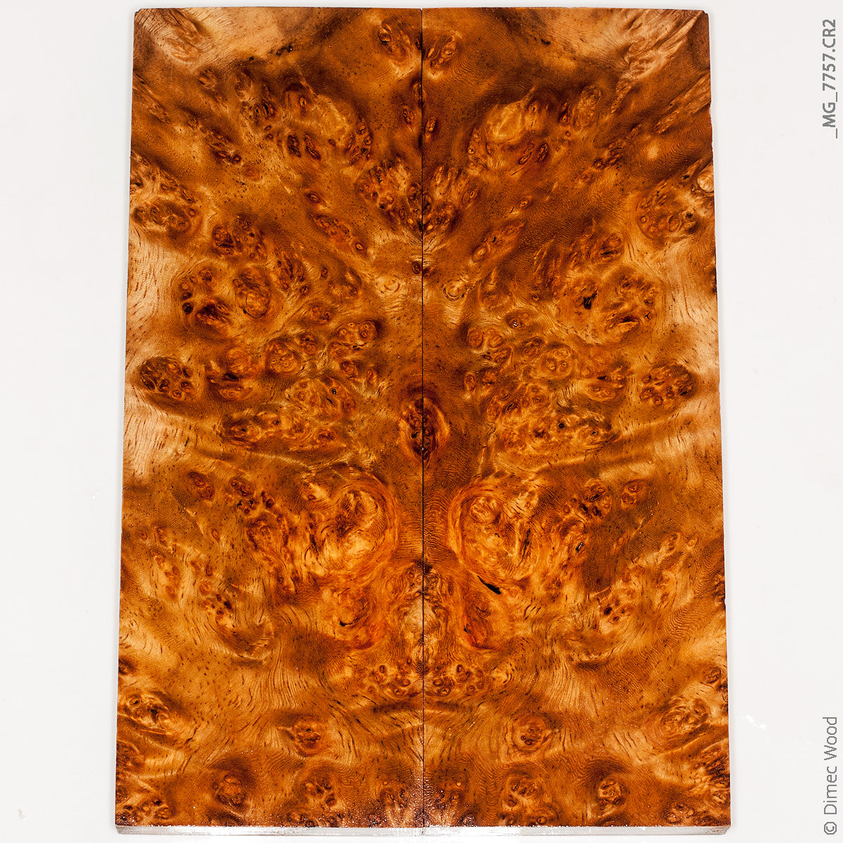 Stabilized golden amboyna burl wood panels – Dimec wood