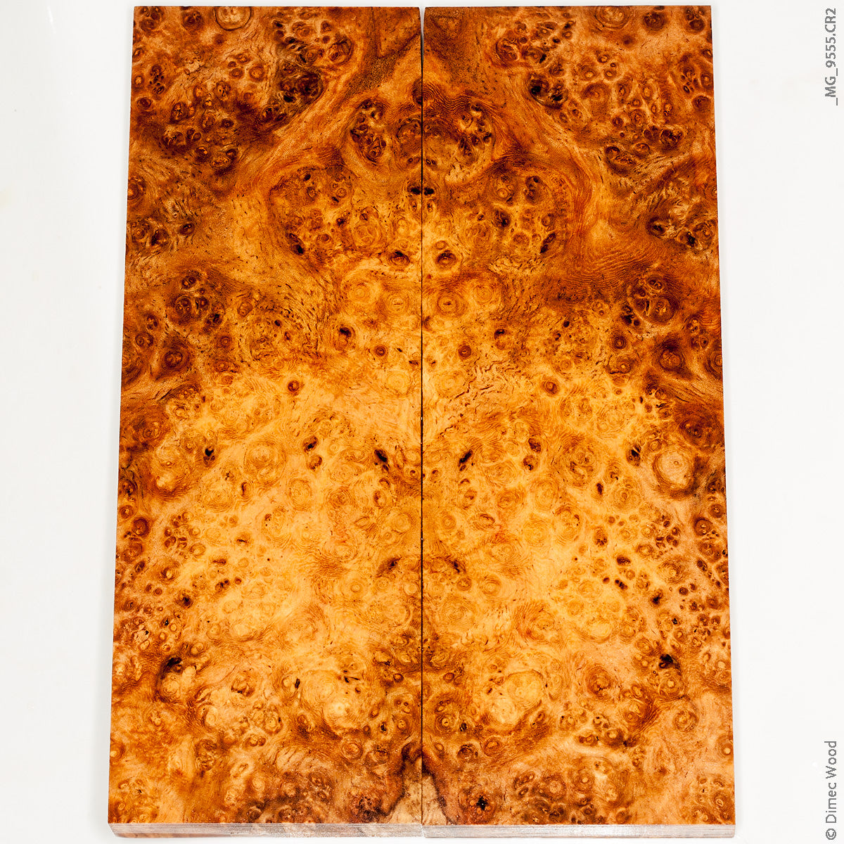 Stabilized golden amboyna burl wood panels – Dimec wood