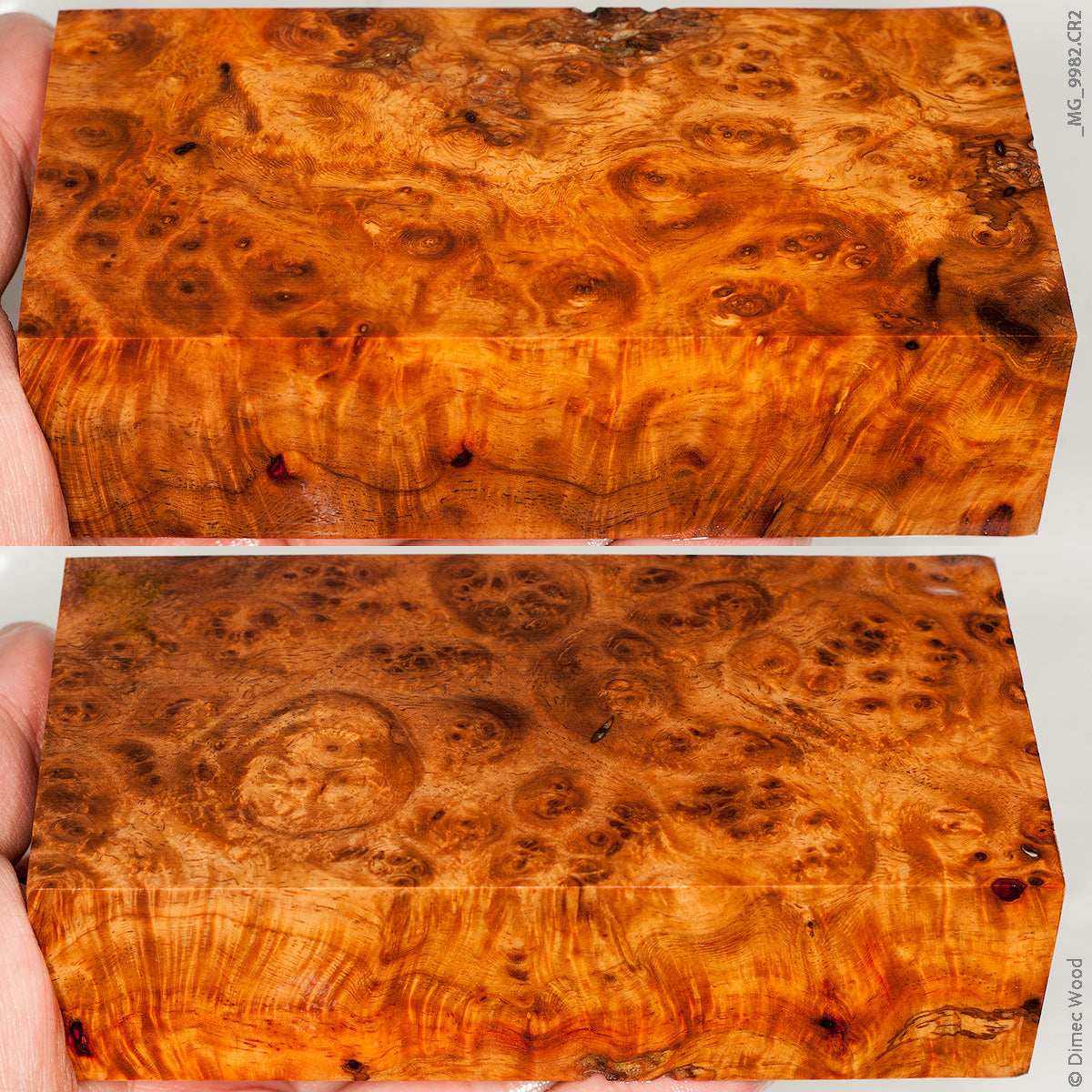 Stabilized wood golden amboyna burl block – Dimec wood